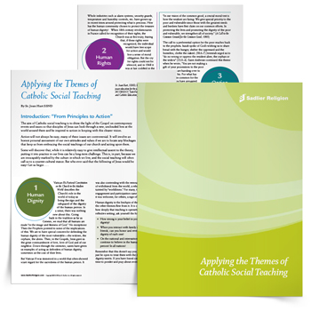 Seven Themes of Catholic Social Teaching Resources