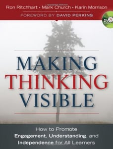 Make Thinking Visible with the Zoom In Thinking Routine; A Professional ...